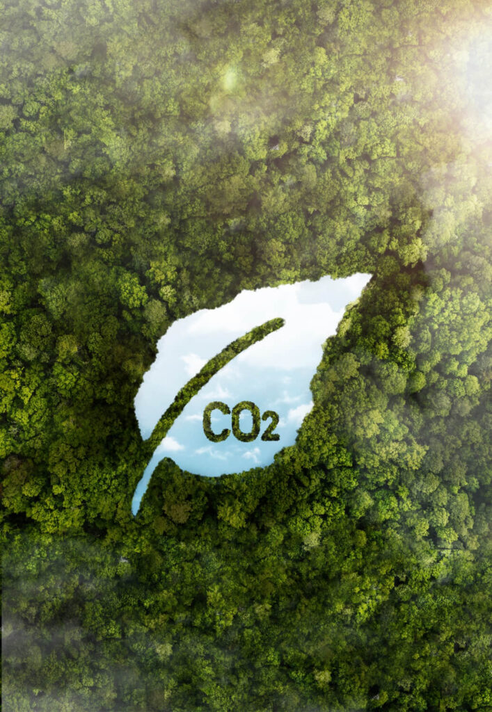 Biochar Carbon Credit - Bamboo Genie